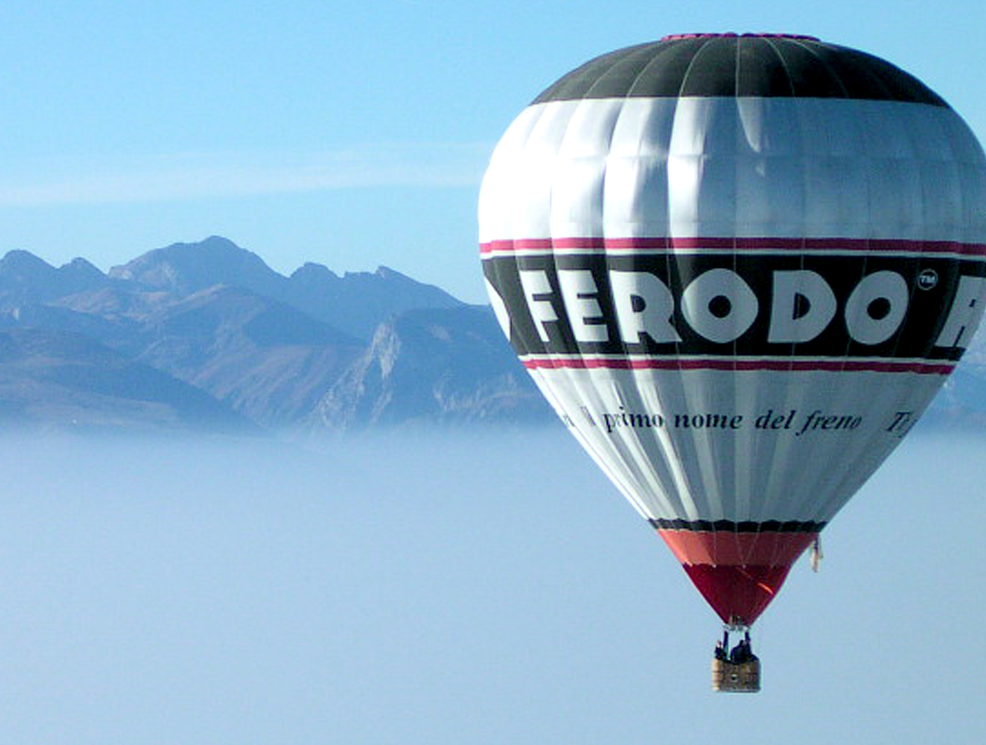 N-Type | Cameron Balloons