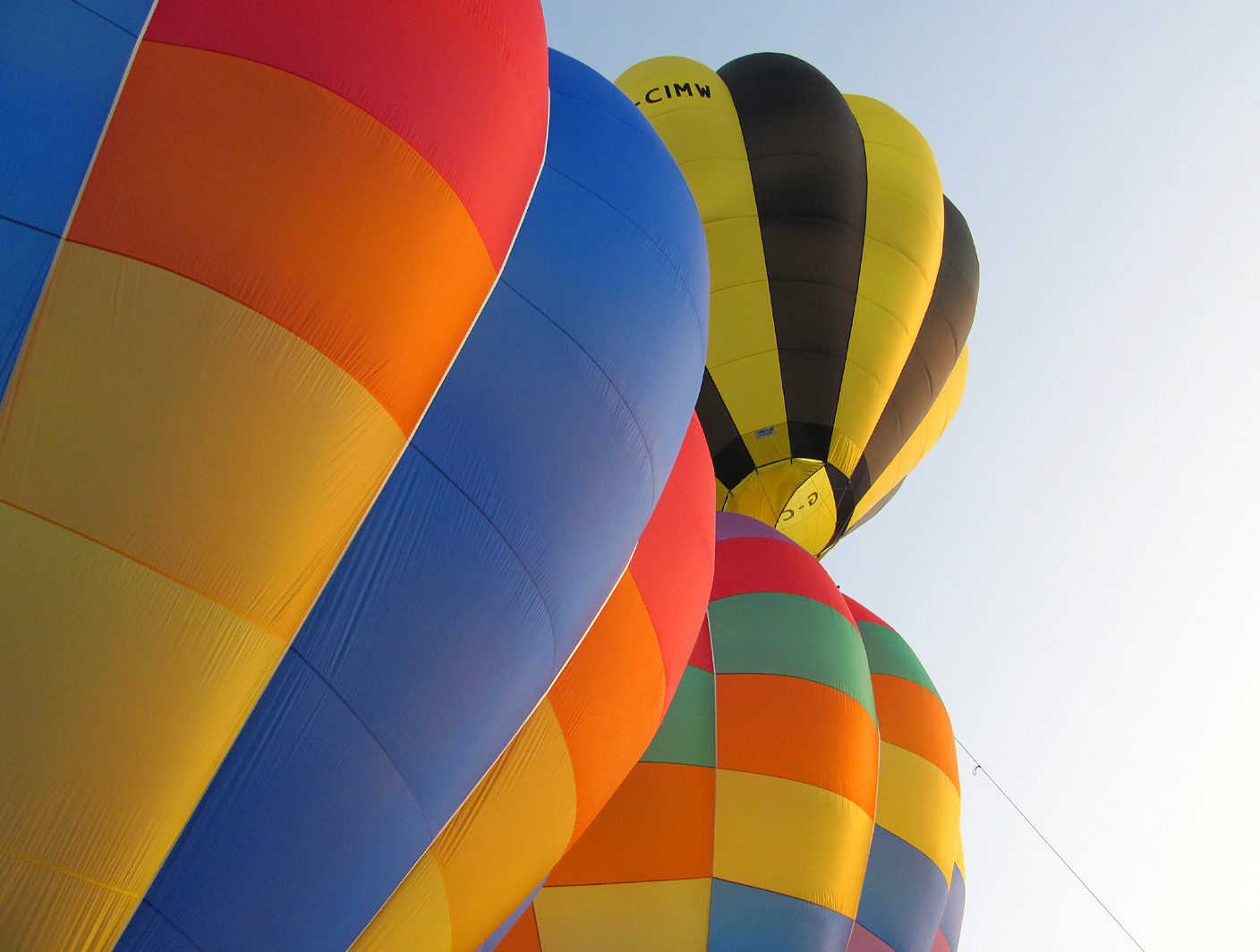 O-Type | Cameron Balloons