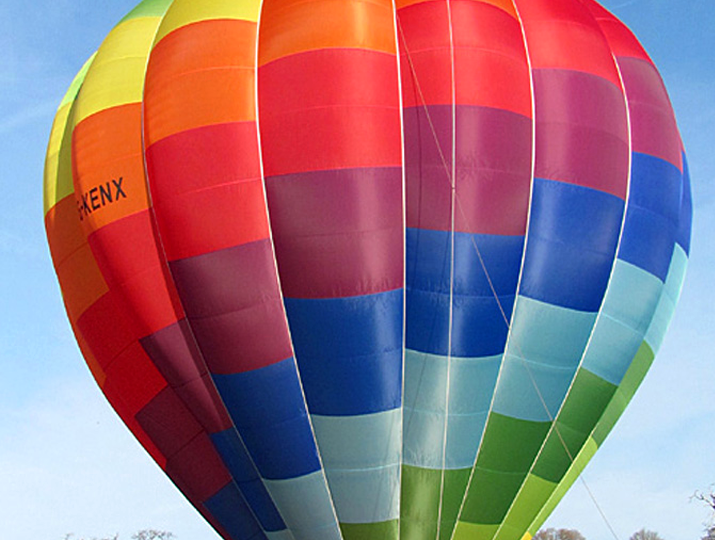 Sport Series | Cameron Balloons