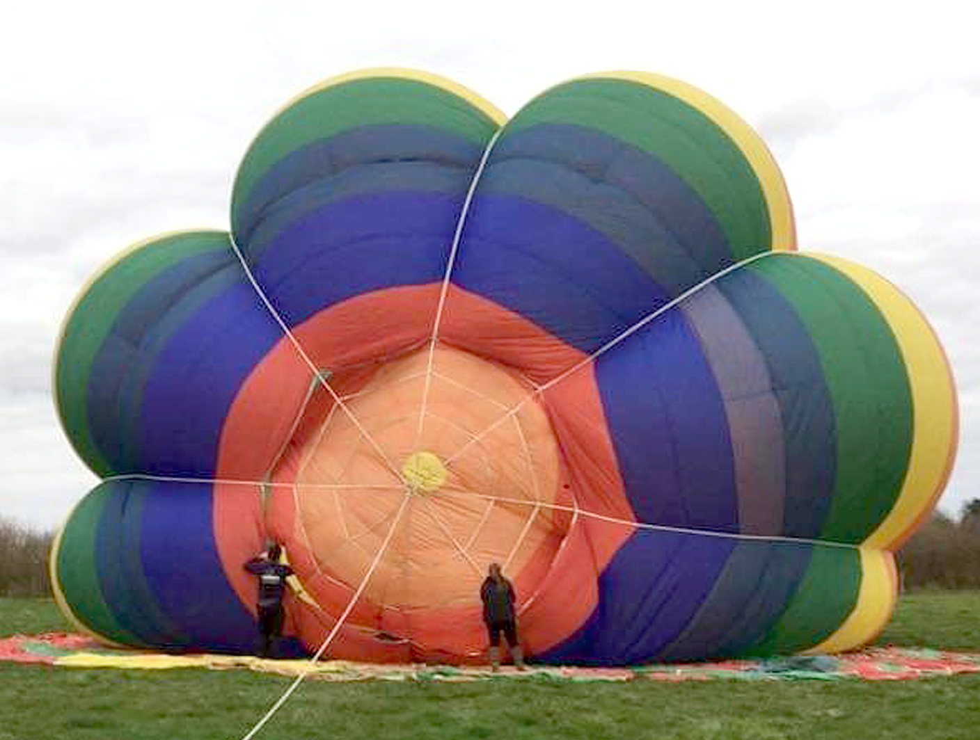Viva | Cameron Balloons
