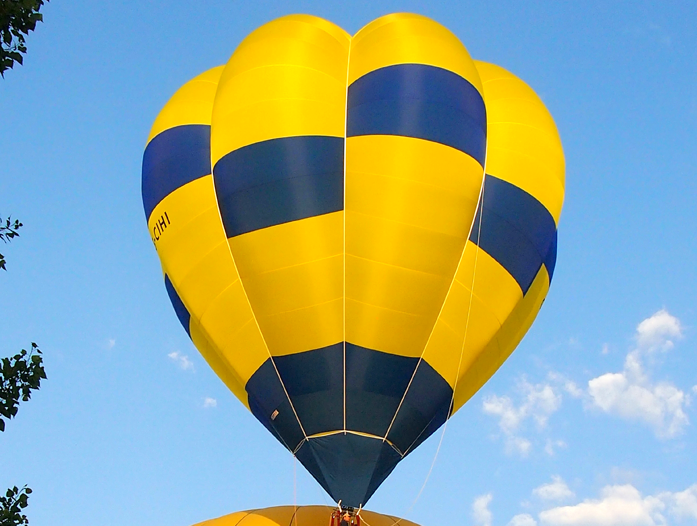 Viva | Cameron Balloons