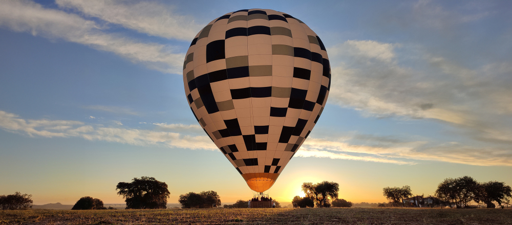 Z-Type | Cameron Balloons