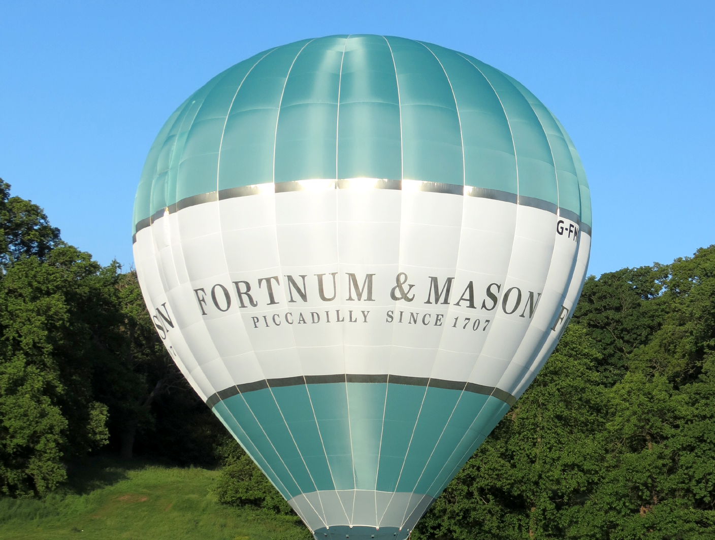 Z-Type | Cameron Balloons